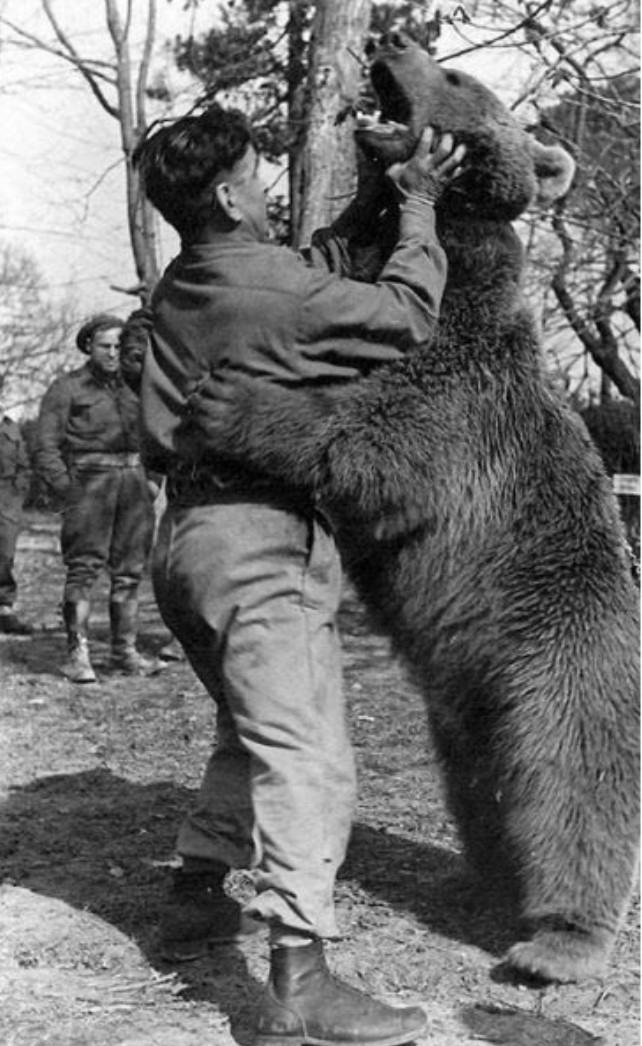 Mascot of the Month: Wojtek the Soldier Bear - Aquila Polonica